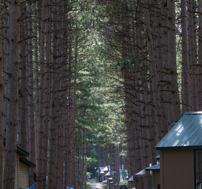 Sabbath at Summer Camp - Wisconsin Conference of Seventh-day Adventists